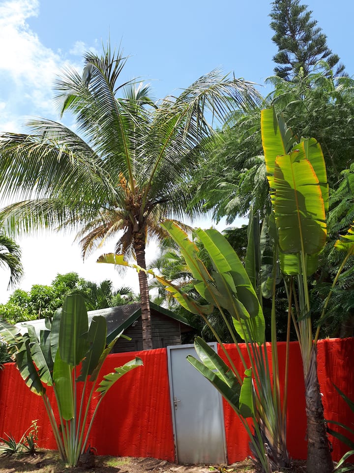 Bungalow Bois Banane - Guadeloupe