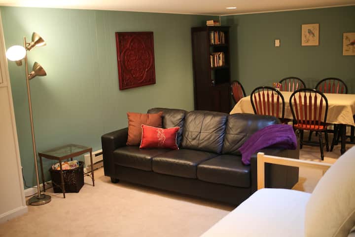 Private Apartment Steps To Metro, Dc, Mall, & Park - Silver Spring, MD