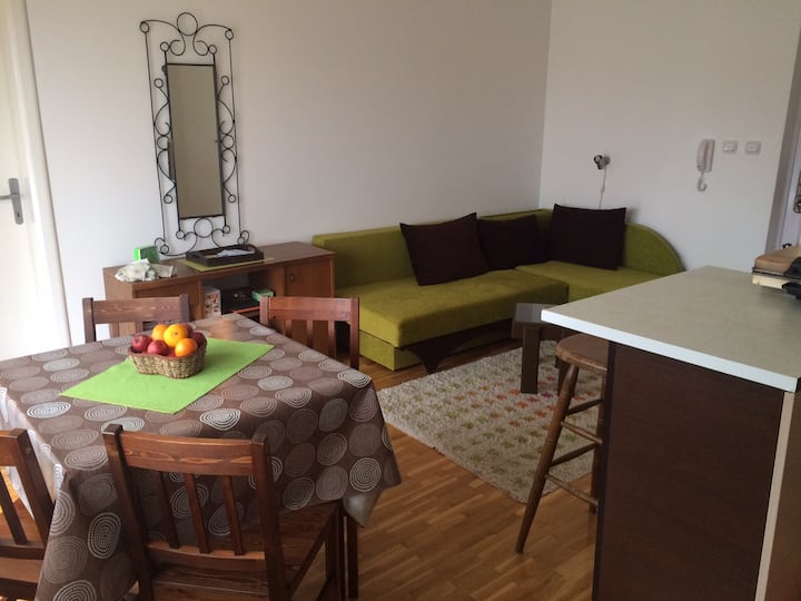 Cosy Place In The Most Beautiful Part Of Sokobanja - Sokobanja