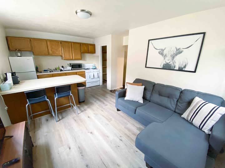 1br Apt Near University, City | Google Fiber Wifi - Salt Lake City, UT
