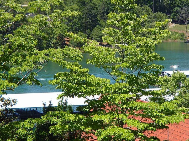 Heaven On Earth - Chuck Swan State Forest, Sharps Chapel