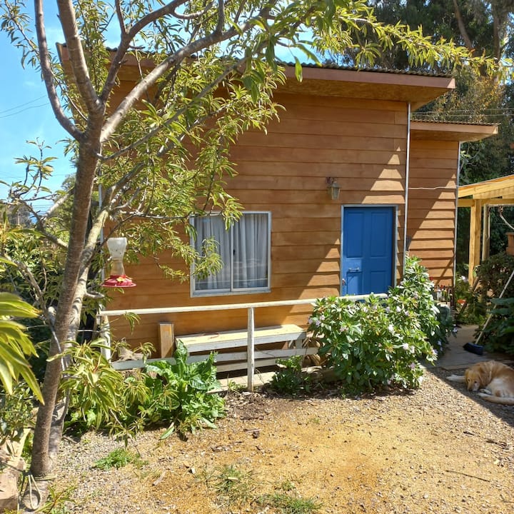Cabaña Familiar 5 Personas - Pichilemu