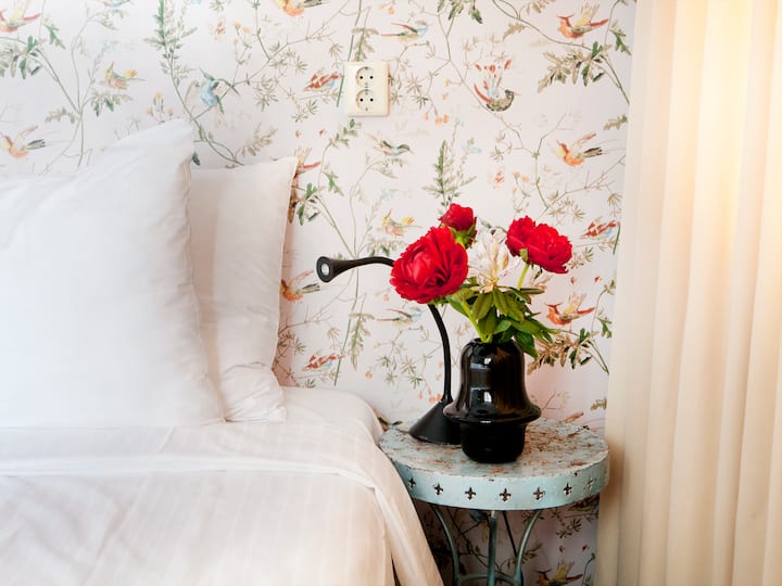 Canals & Cocktails: Courtyard View - Amsterdam