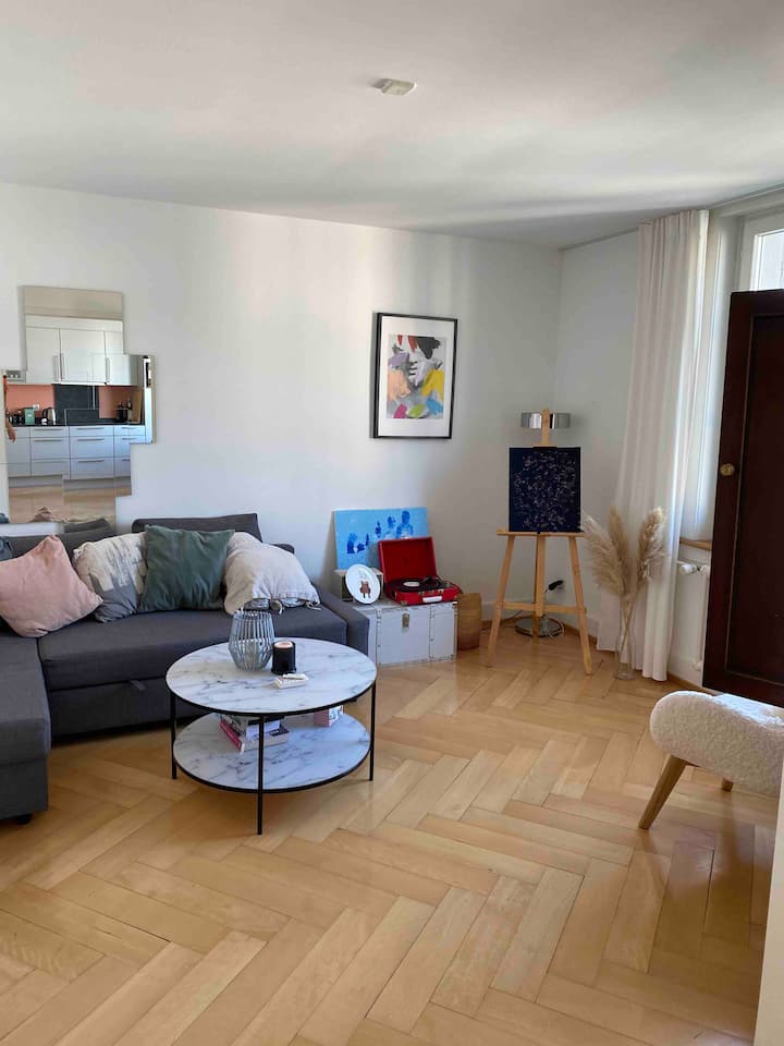 Schöne Wohnung In Wipkingen - زيورخ