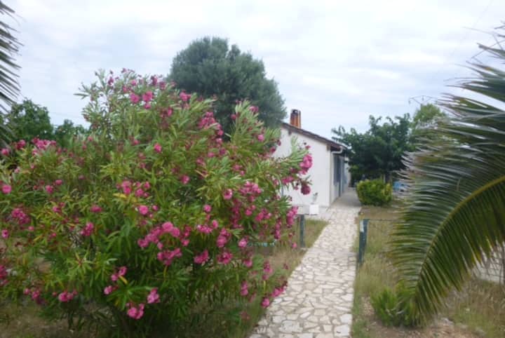 Studio Turquoise - Marseillan