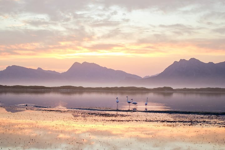 Beach House 20 Min From Hermanus - 125 Visarend - Fisherhaven
