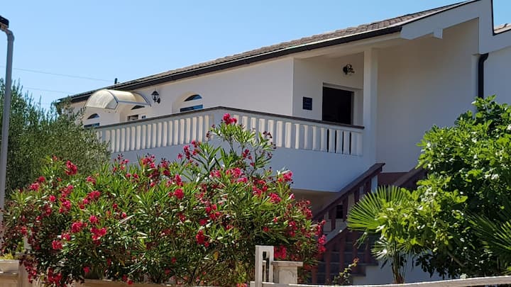 Apartmani Danijela: Mir, Tišina, Netaknuta Priroda - Stari Grad