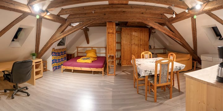 Stimmungsvolles Großes Dachzimmer In Der Altstadt - Heidelberg