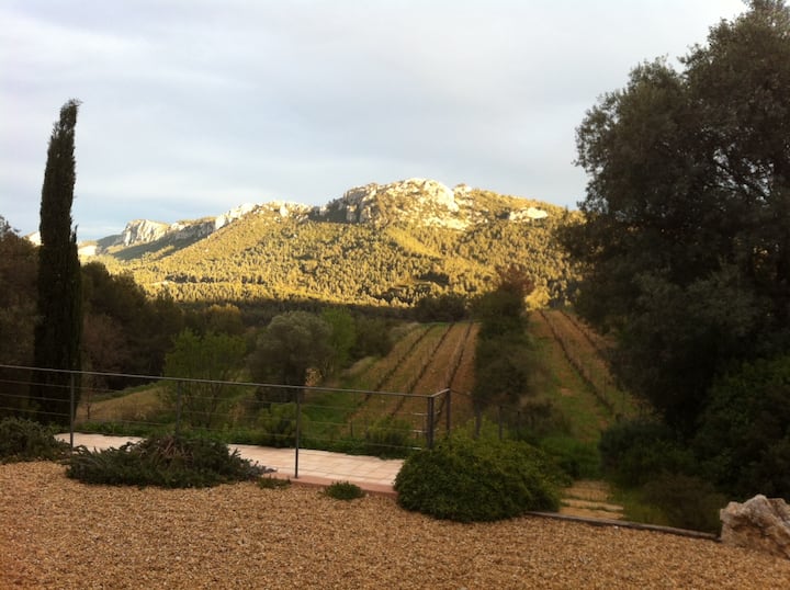 Villa Au Milieu Des Vignes à La Cadière D'azur - Bandol
