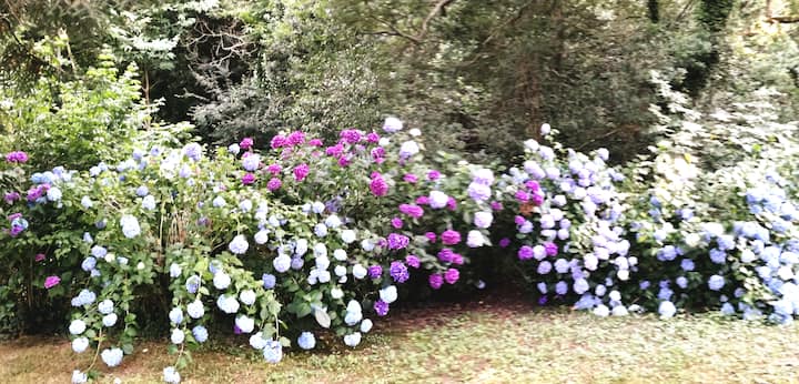 ÂMe Toscane: Villa Avec Jardin Entre Bois Et Mer - Camaiore