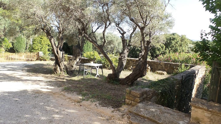 Studio Avec Jardin Privatif ( Le Mas Des Anges ) - Sanary-sur-Mer