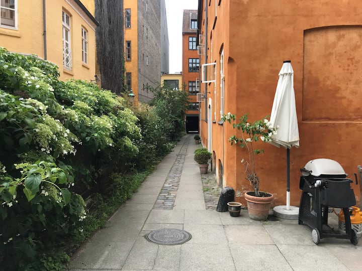 Spacious Appartement In The Heart Of Copenhagen - Copenhague