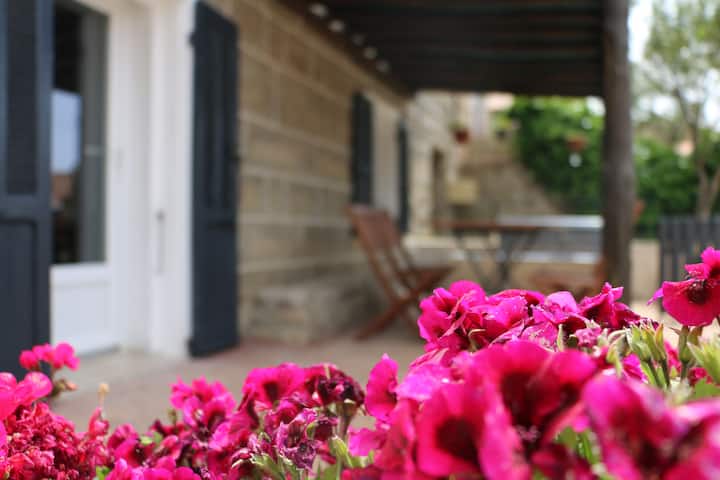 Appartement Dans Maison De Village - Figari