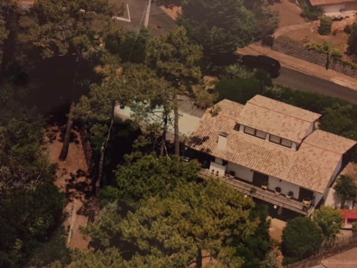 Villa De Charme Avec Piscine, Piraillan/vue Bassin - Arcachon