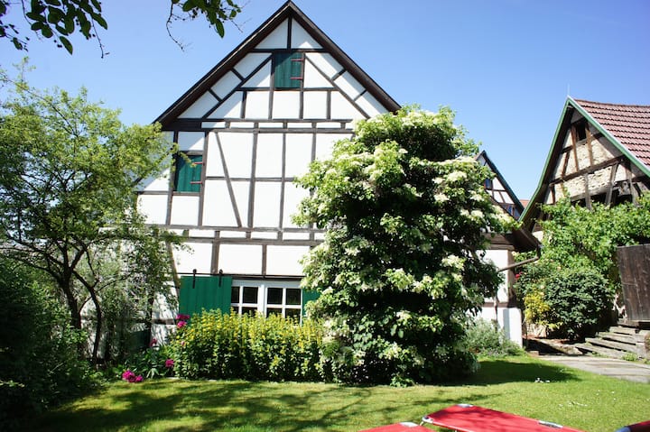 Liebenswerte Wohlfühlwohnung Mit Terrasse & Garten (Haustiere Willkommen) - Aspach