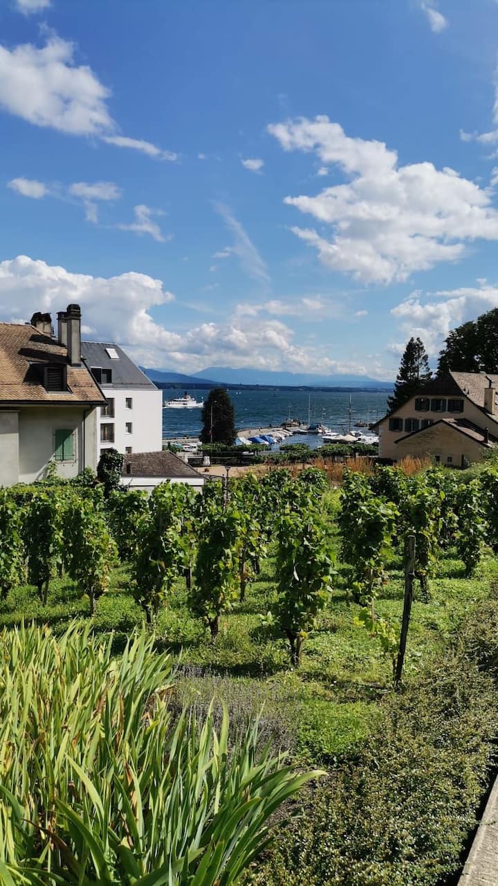 Furnished Studio In Nyon Center - Nyon