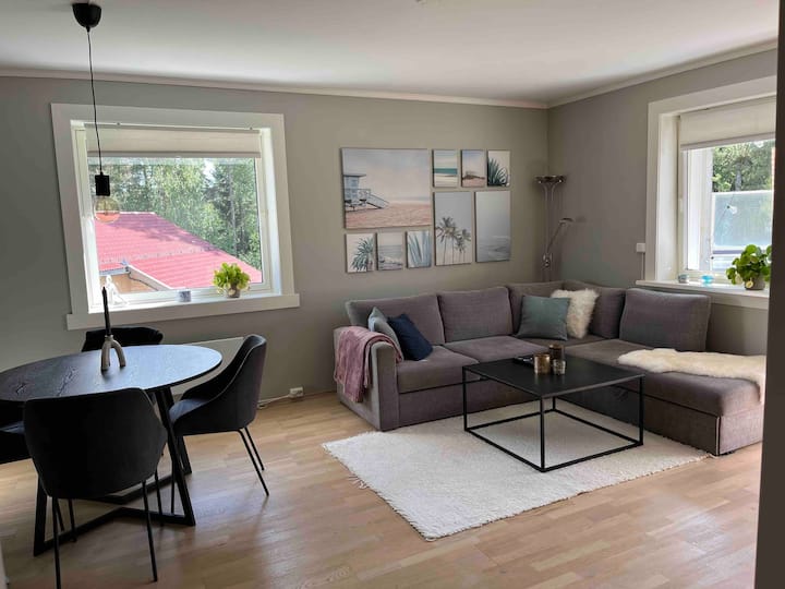 Big Apartment (2 Room) Close To Subway - Oslo