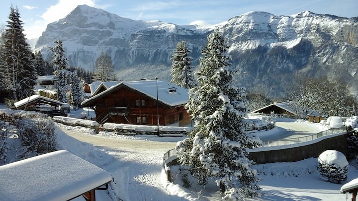 Appartement 4 Personnes Skis Aux Pieds - Flaine