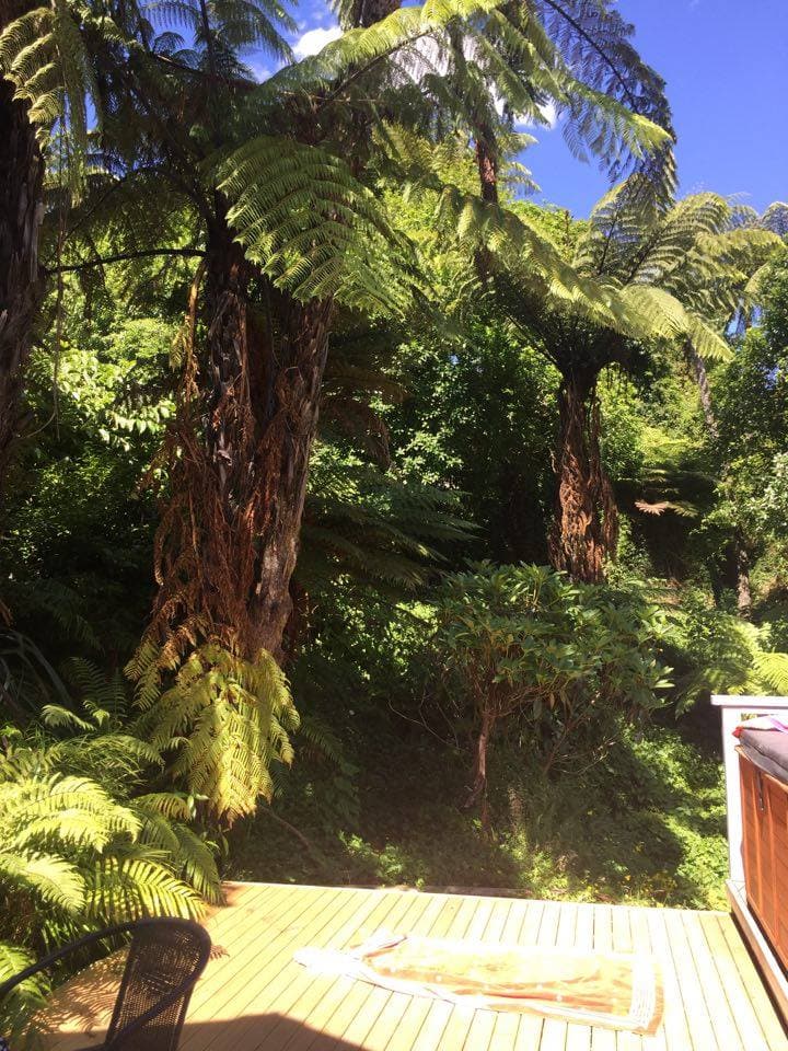 Lake Okareka Rotorua Spa Studio - Rotorua