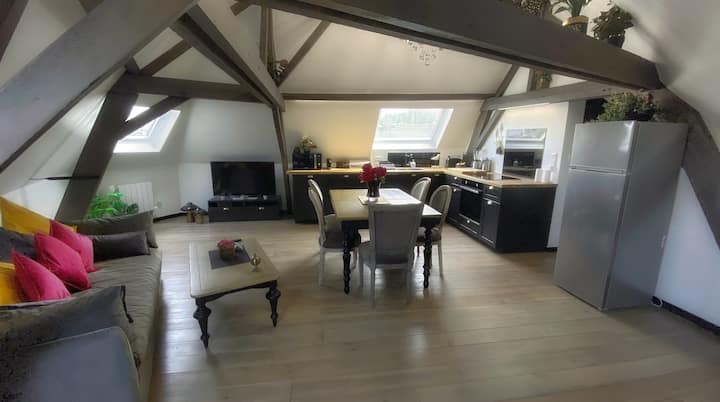 Appartement Unique Et De Charme Sous Les Toits - Tourcoing