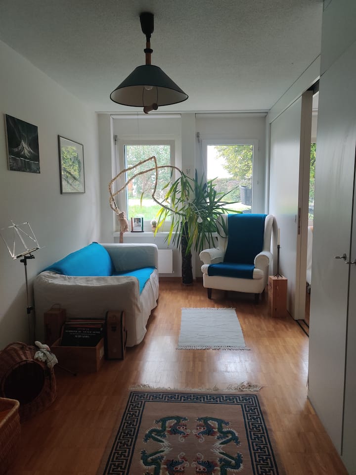 Near University And Eth - Zurich