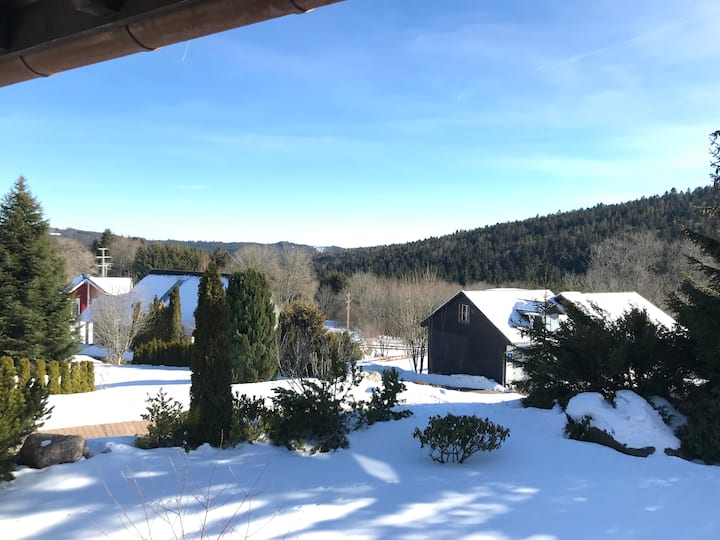 Schöne Wohnung & Pool Schwarzwald Häusern 5 Pers. - Black Forest