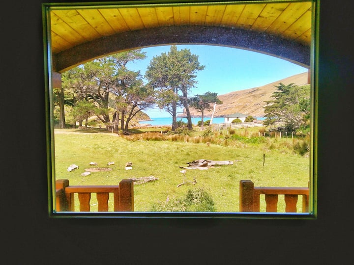 Gipsy Cabin On The Wildside Of Banks Peninsula - Akaroa