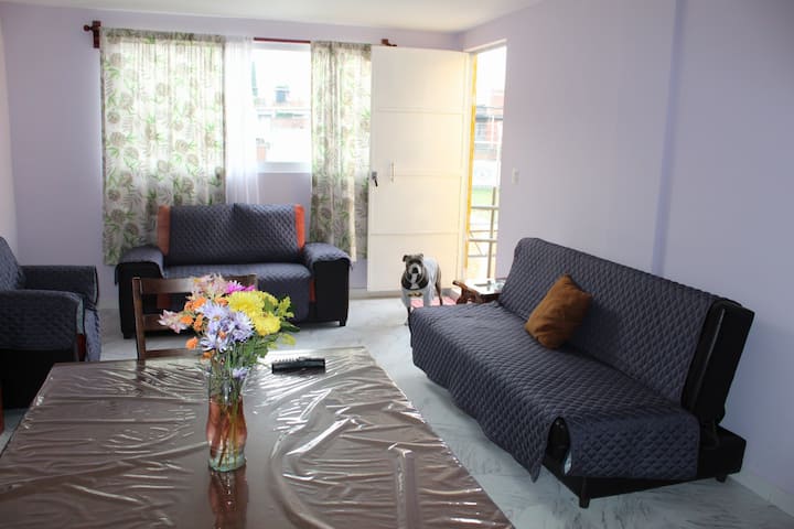 Departamento Doña Cleo. - Morelia