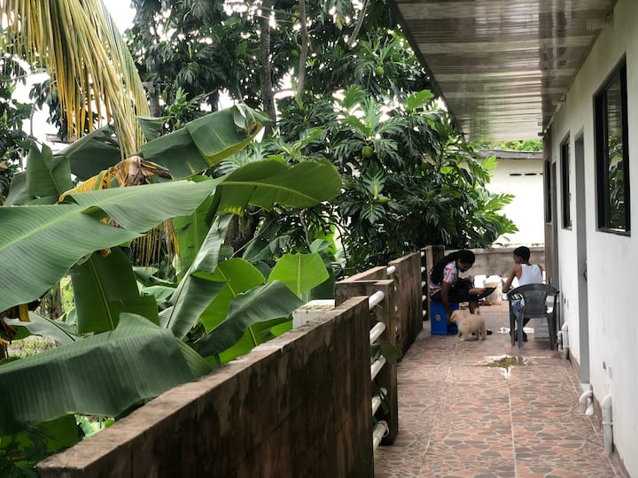 Top 7 Beach Houses In Toco, Trinidad and Tobago - Updated 2025 | Trip101