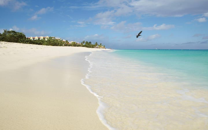 New Condo, 4 Minutes Walk To Eagle Beach. Sleeps 4 - Aruba