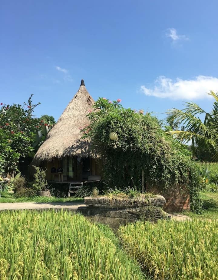 Ubud Tiny Home Surround By Lush Green Rice Field - Ubud