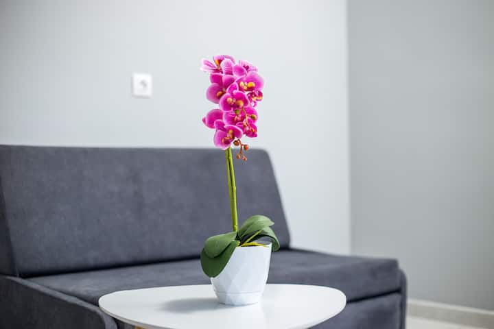 Pelagias Apartment - Rhodes