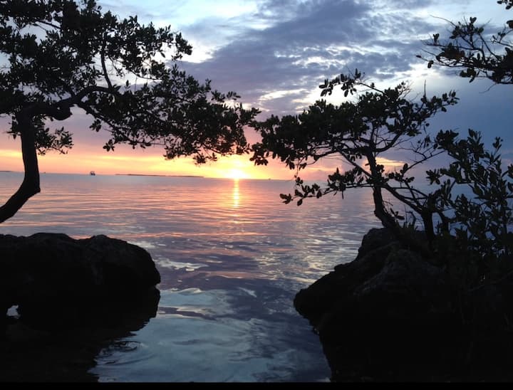 Bay Views With Patios And Tropical Palms /Garden - Islamorada, FL