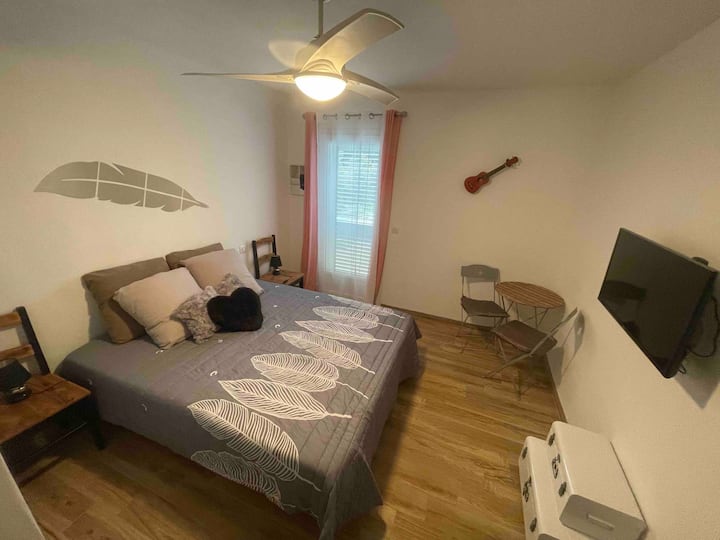 Chambre Individuelle Avec Salle De Bain Privative - Corse-du-Sud