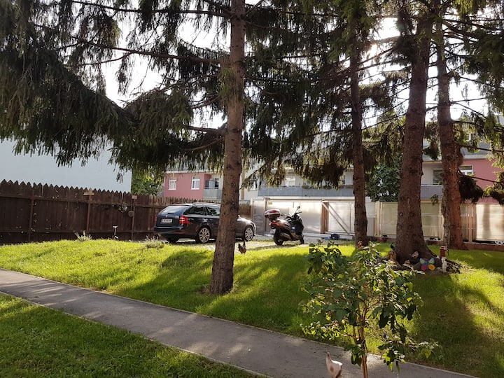 Holiday House Taca 1 In Vienna - Vienna