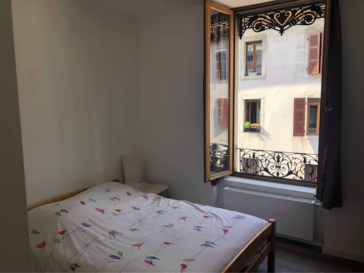 Charmant T2 Annecy Centre , Vieille Ville - Annecy