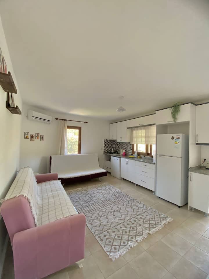 1+1 Geniş Balkonlu Doğa Manzaralı Apart - Mesudiye