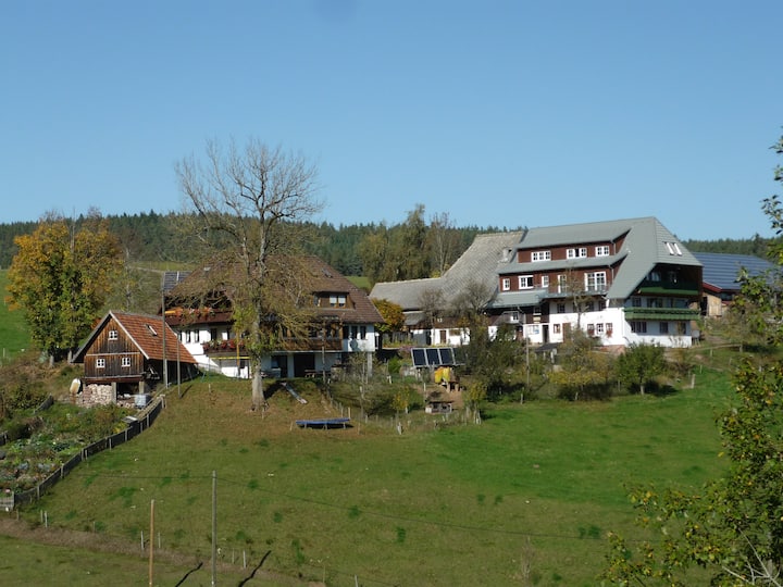 Holiday Apartment On Our Farm In The Black Forest - Schramberg