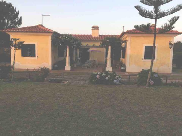 Brejo Da Comenda - Vila Nova de Milfontes