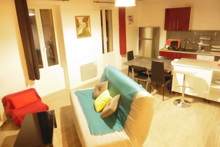 Appartement Centre Ville De Saint Savinien - Charente-Maritime