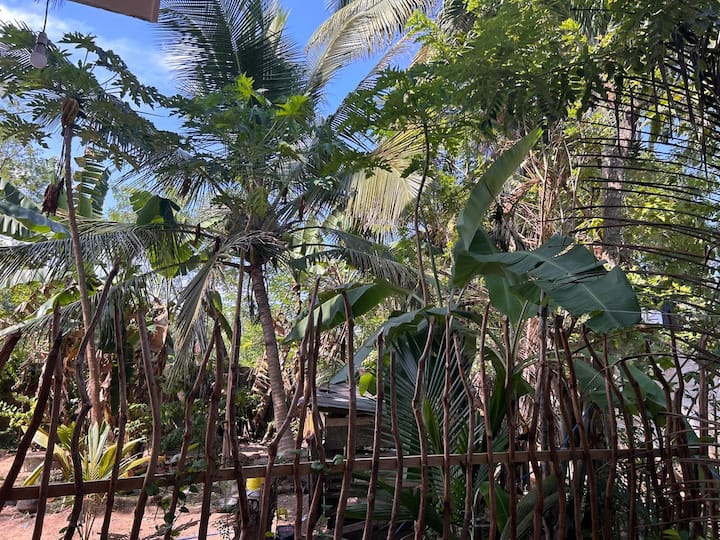 Hidden Studio Family Chaminda - Mirissa