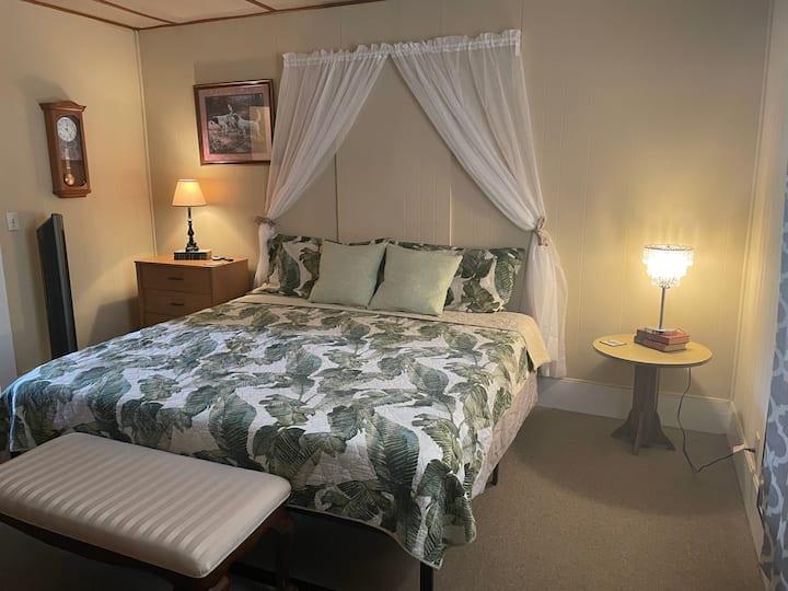 Downtown Inverness Executive Home/pet Friendly - Inverness, FL