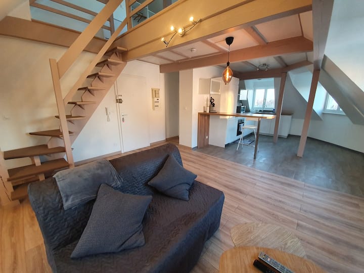 New School Apartment - Bischheim