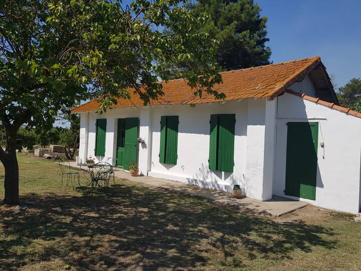 Maison En Pleine Camargue - Saintes-Maries-de-la-Mer