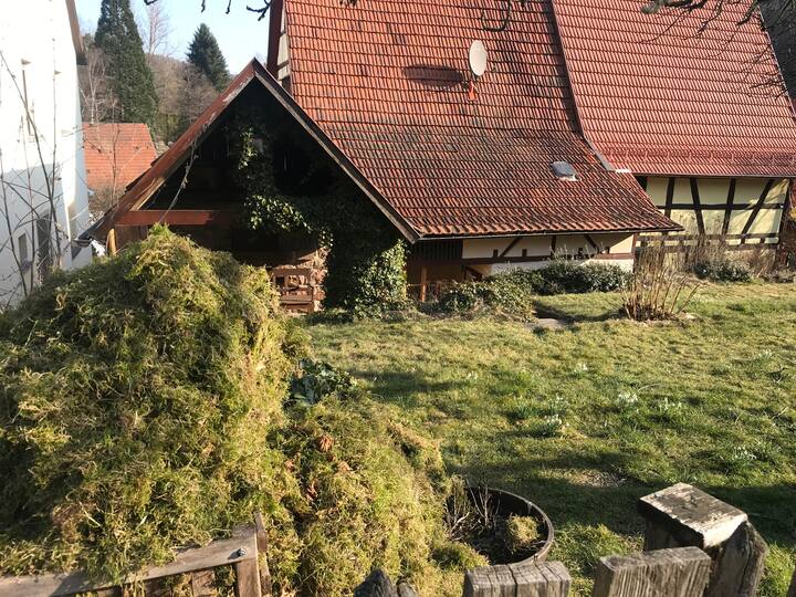 Bauernhaus An Wald Und Bach - Erreichbar Per Bahn - Frammersbach