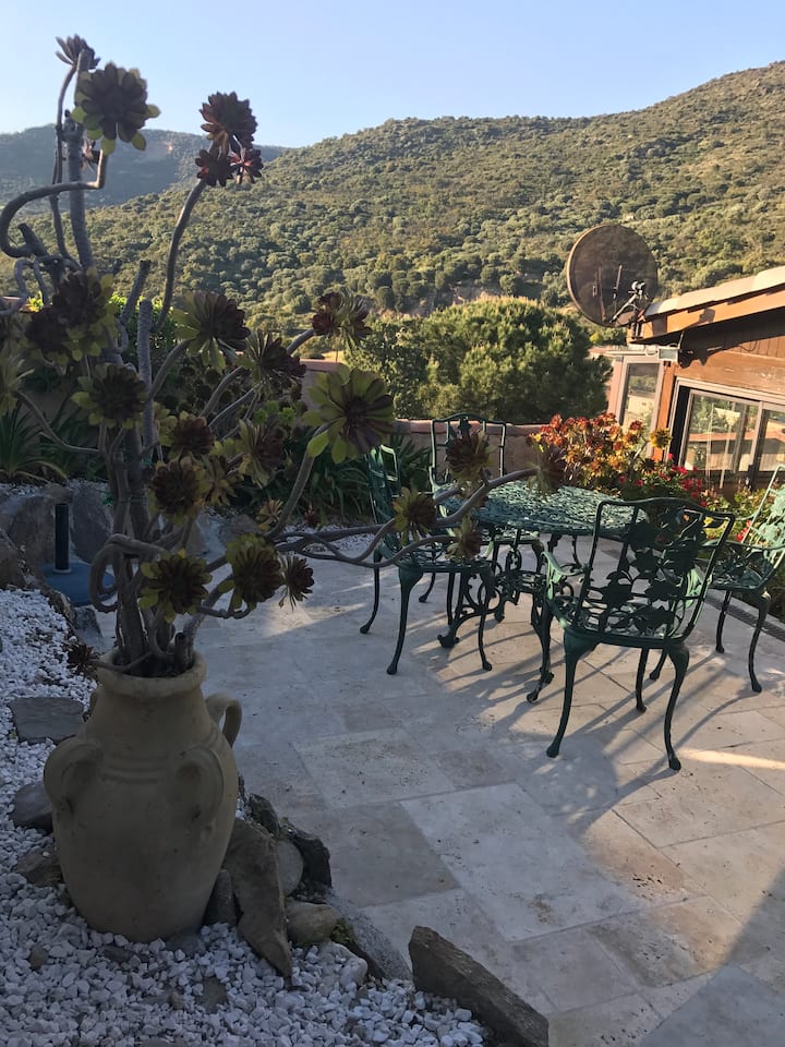 Maison De Vacances Au Lavandou Piscine  Mer Proche - Île du Levant