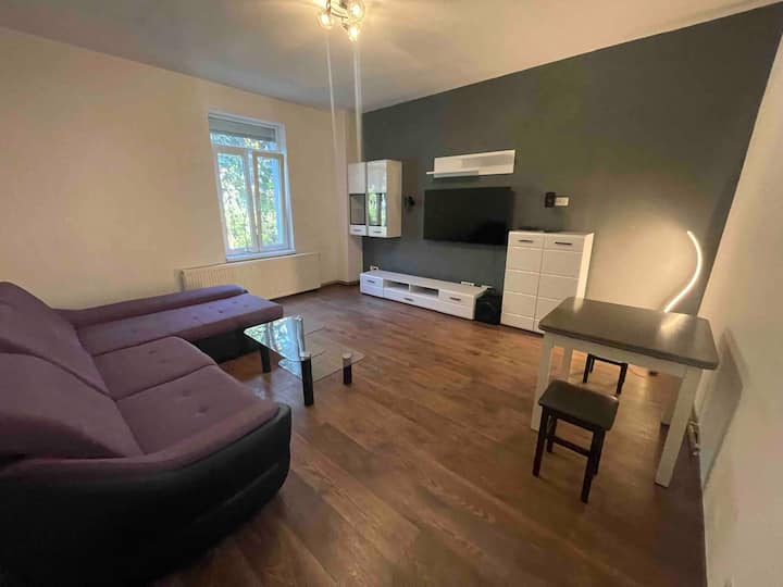 Relaxing Apartment With King Size Bed&huge Garden. - Timișoara
