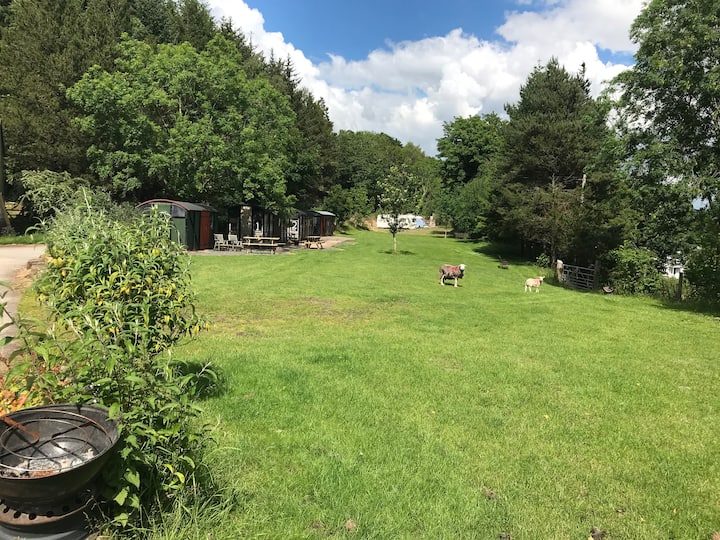 Moss Side Farm Campsite, Great Views And Peace. - Coniston