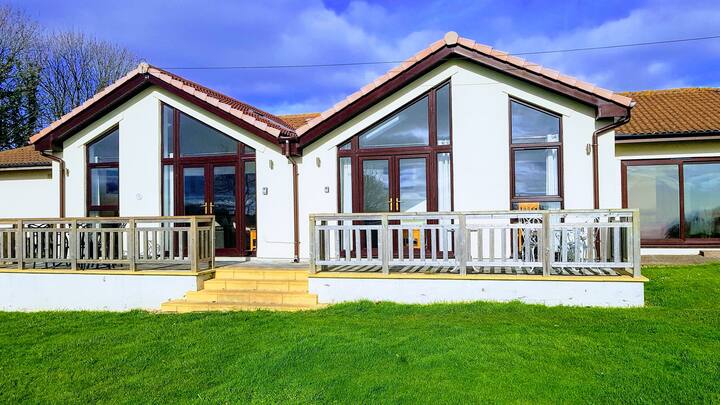No17 Violet - Sidmouth