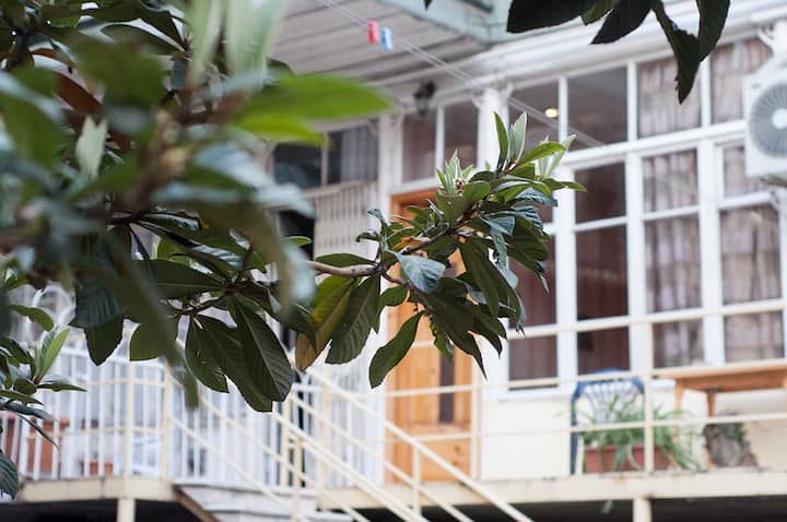 Serenity And Cosiness: Three Central Rooms+veranda - Georgia